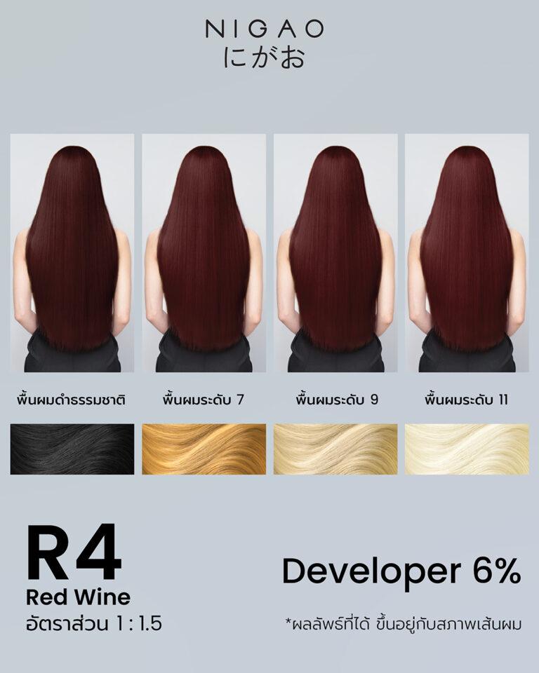 NIGAO Hair Color Fashion เปรียบเทียบผลลัพธ์สีผมแฟชั่นบนพื้นผมระดับต่าง ...